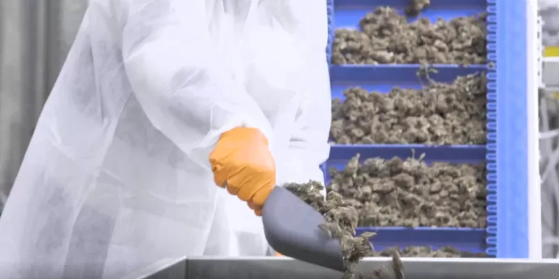 Advanced omega-3 extration technologies